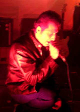 Venus Fly Trap: Alex Novak - Racehorse Northampton 04